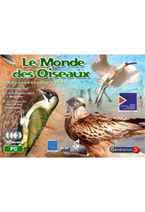 ÉLÉMENTAIRE : Cycle 2