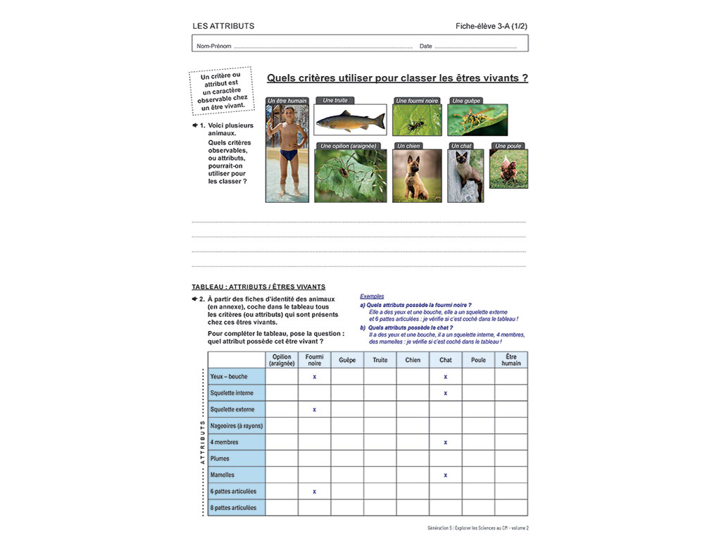 Explorer les Sciences au CM1 et CM2 - Volume 2